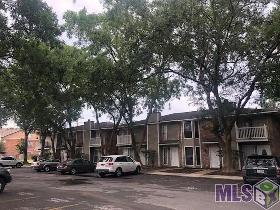 Carriage Alley Association