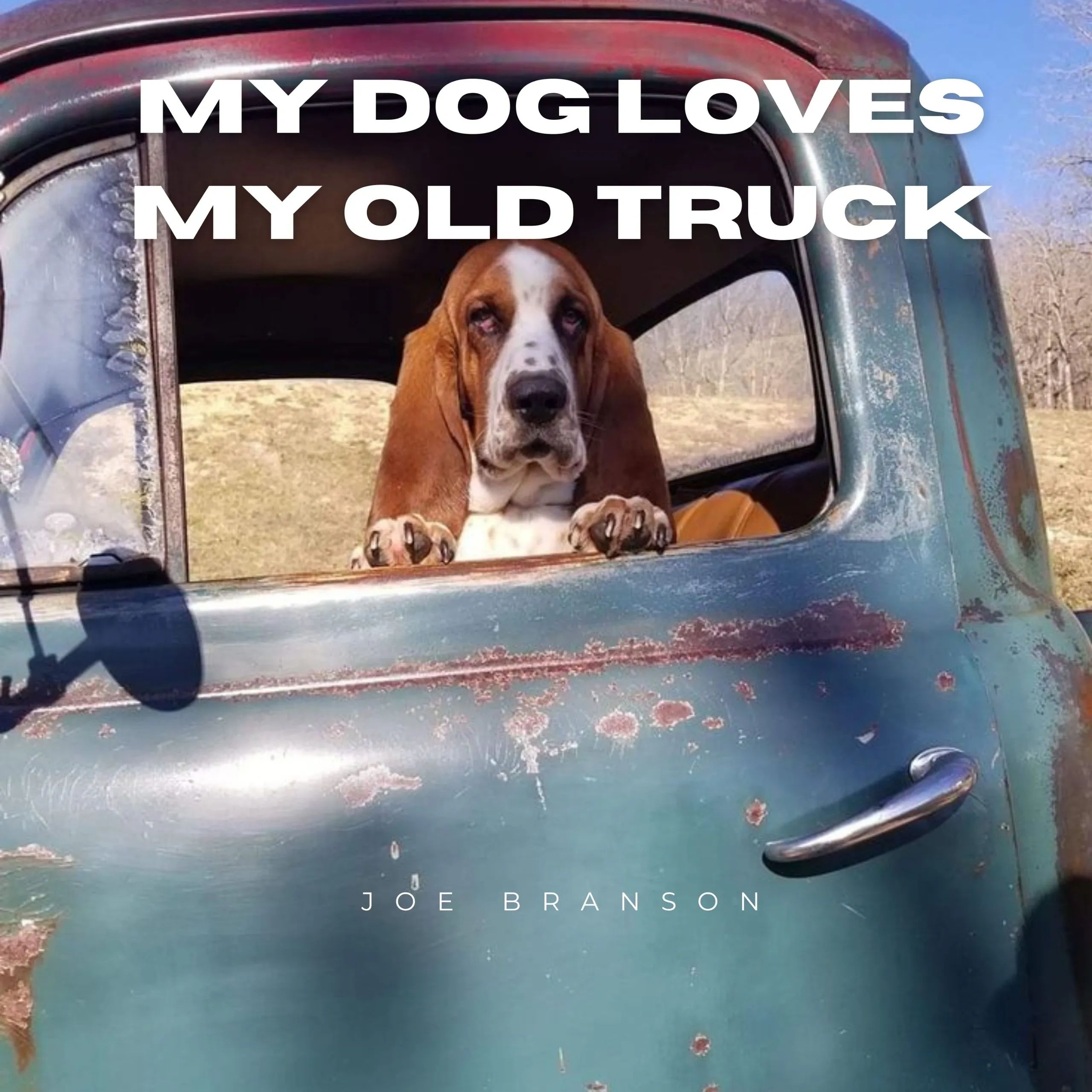 Country Music Singer | Joe Branson