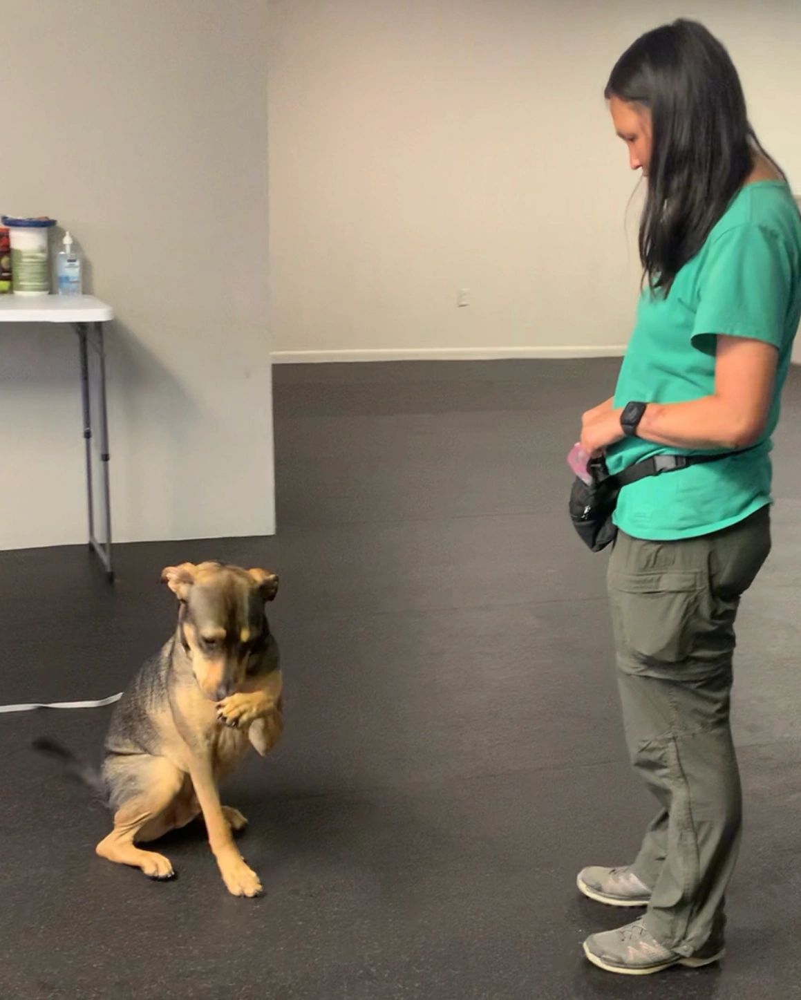 How Dog Training Works