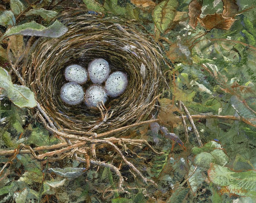 Central Texas Pastel Society