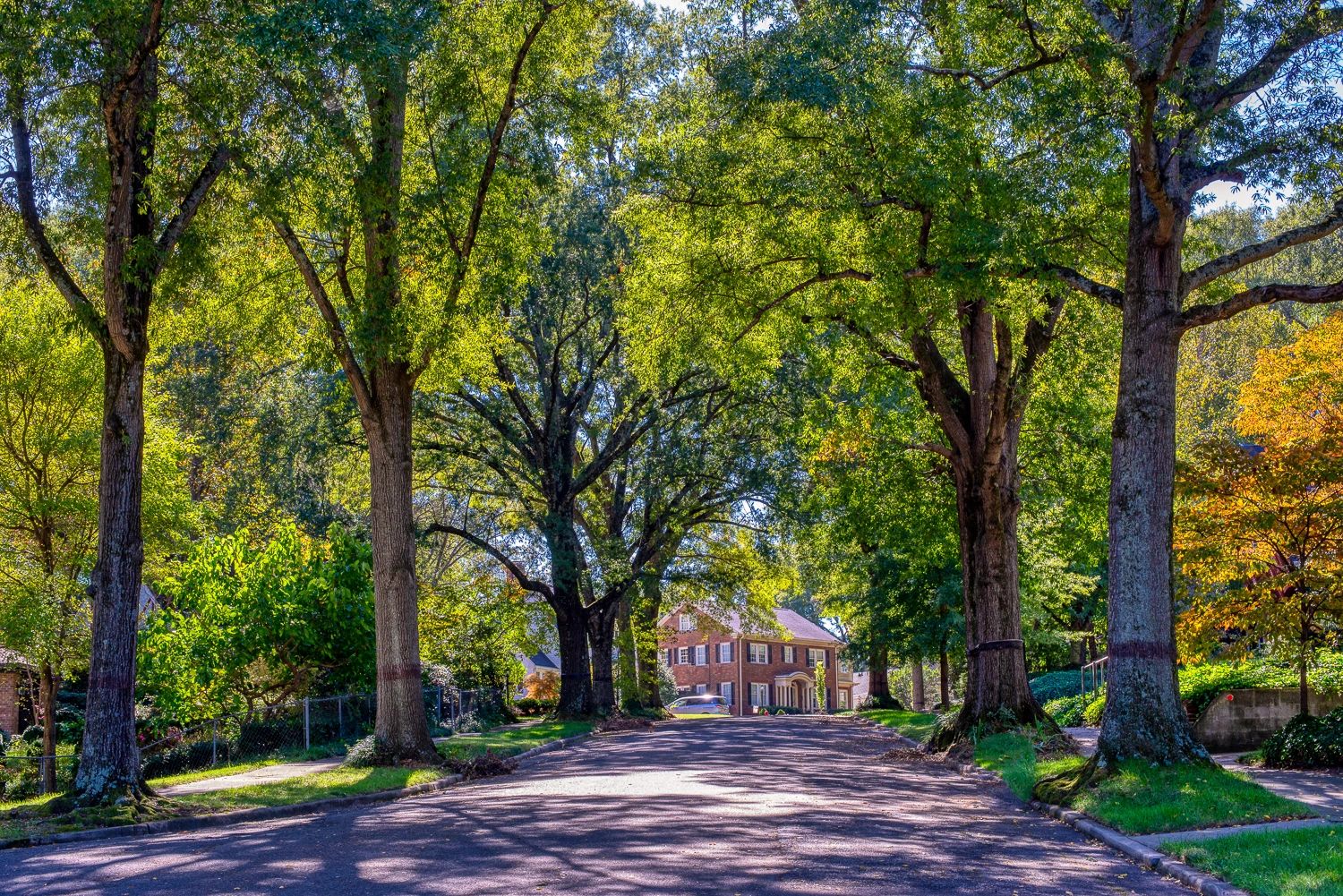 York Chester Neighborhood Association