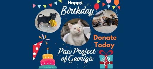 Paw Project of Georgia