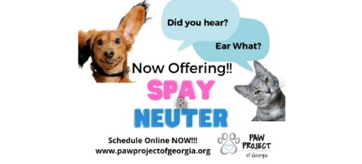 Paw Project of Georgia