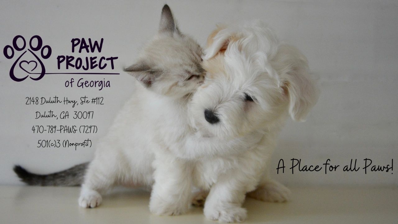 Paw Project of Georgia