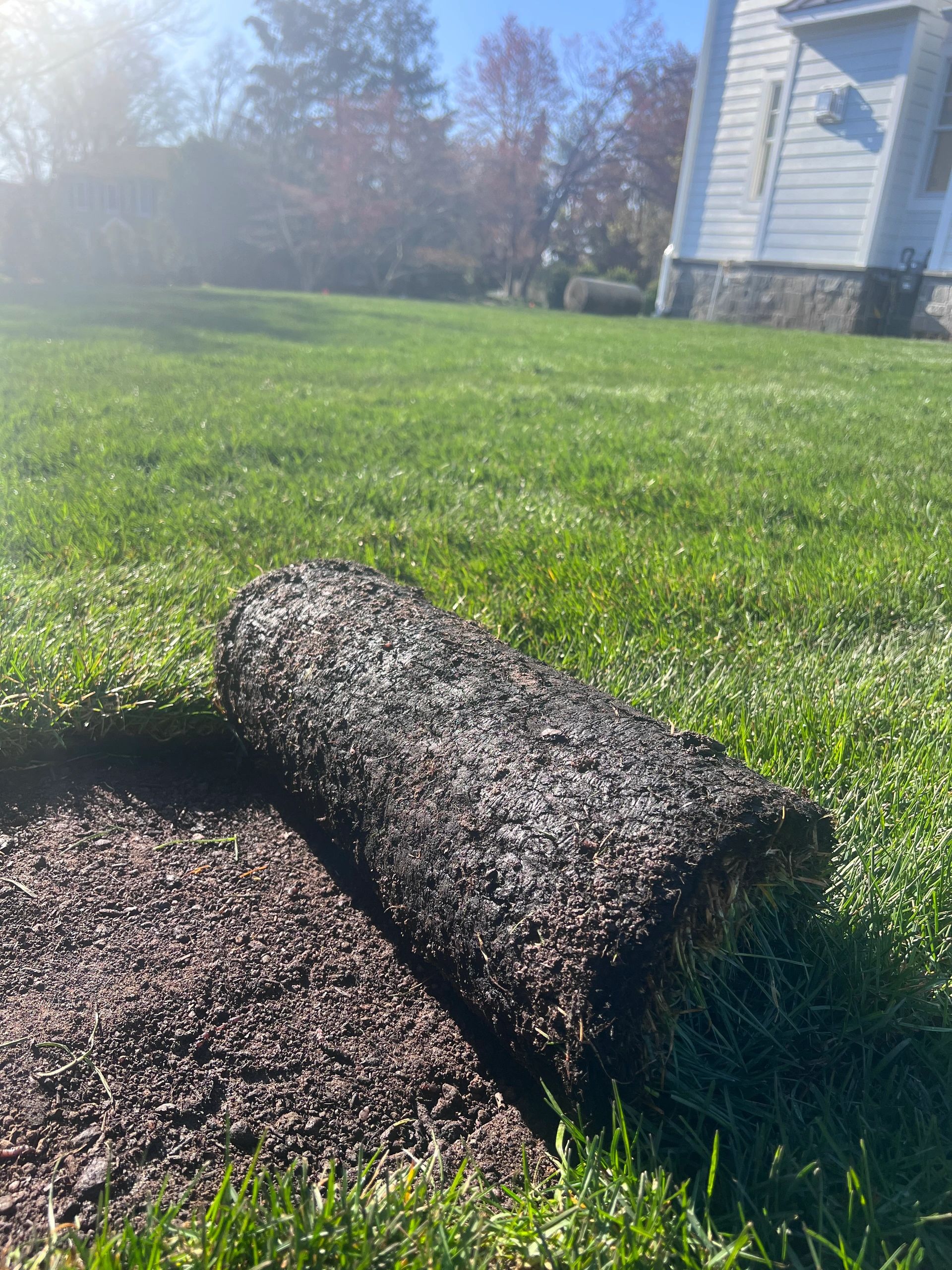 Escobar Sod LLC