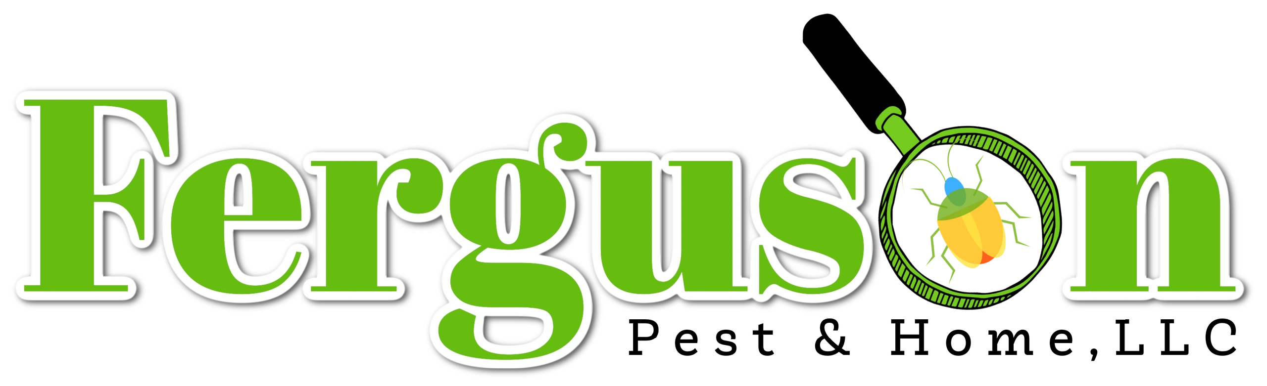 Crawlspace Encapsulation - Ferguson Pest and Home, LLC