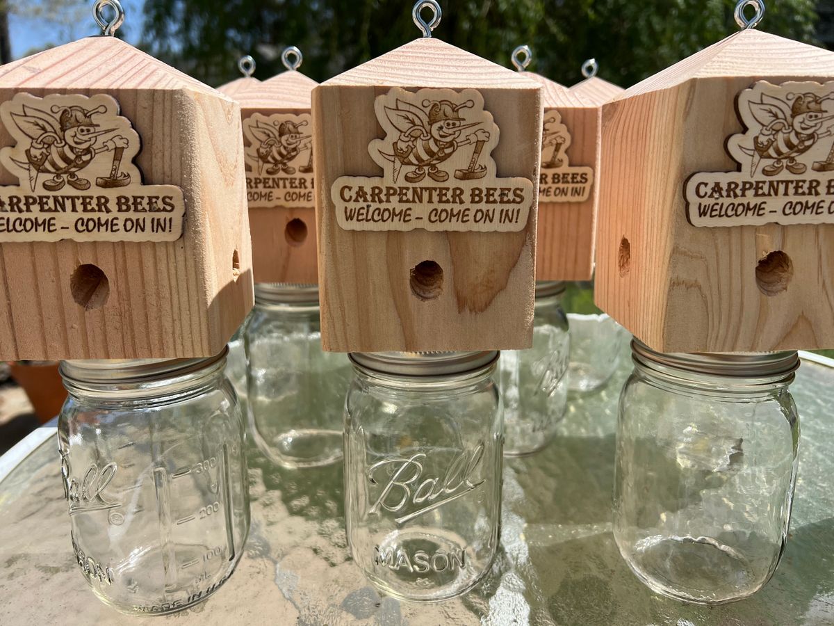Carpenter Bee Trap