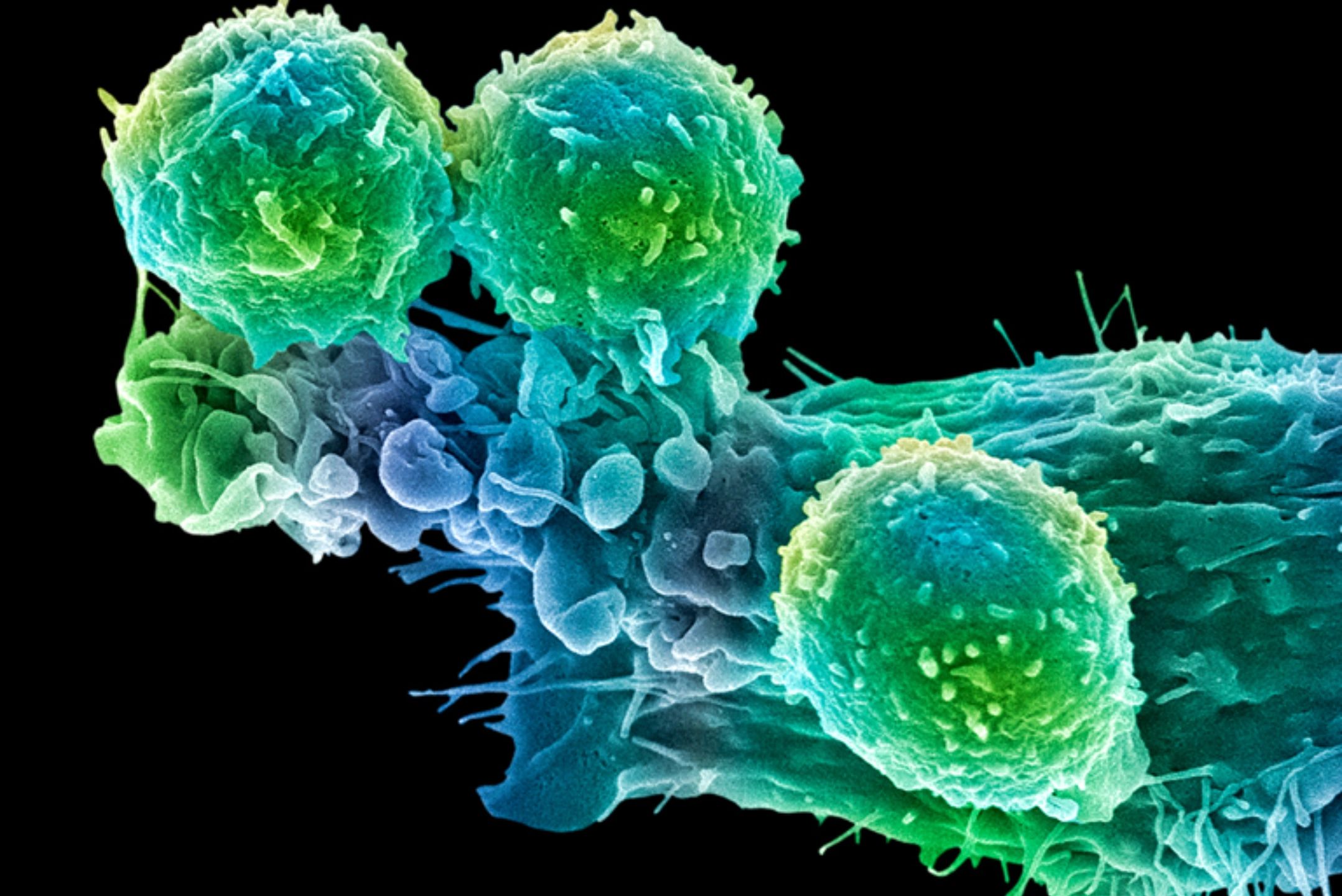 Gencell Therapeutics