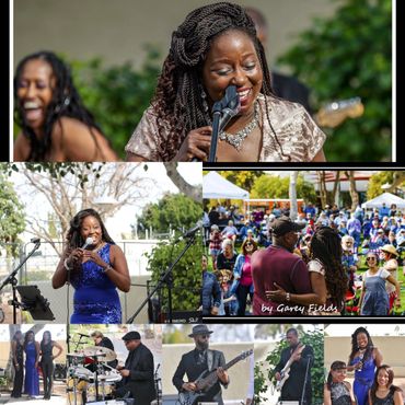 Live Music - Sandra Bassett Music Live