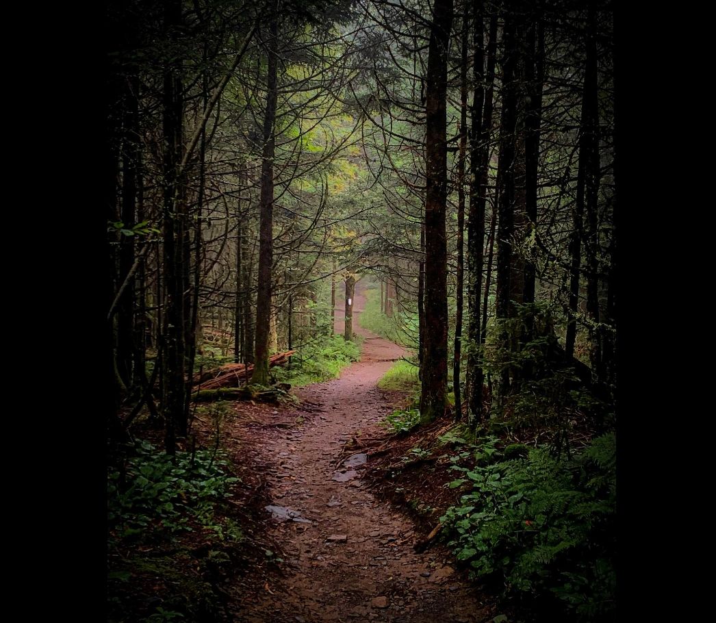 Explore the Most Famous Hiking Path in the World