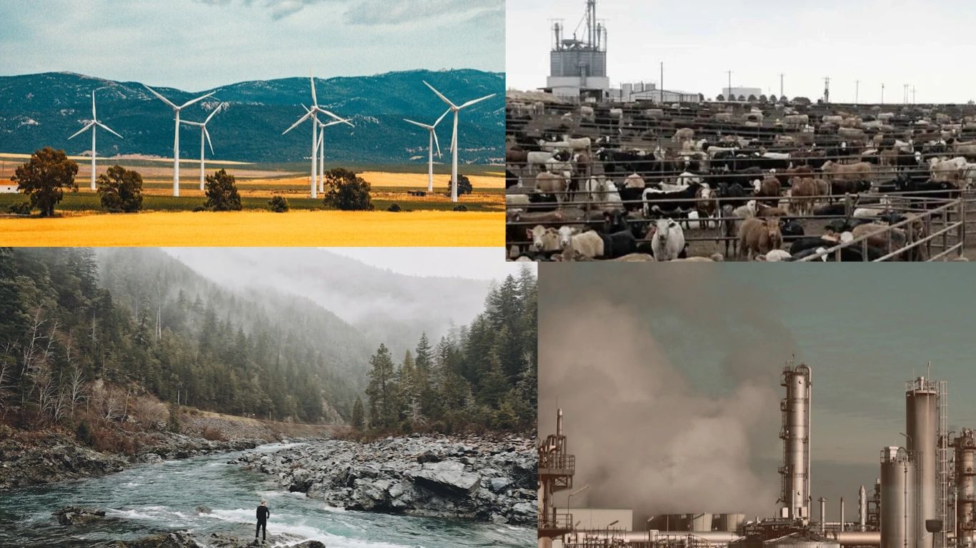 Environmental Disputes Resolution | Expert Mediator Services