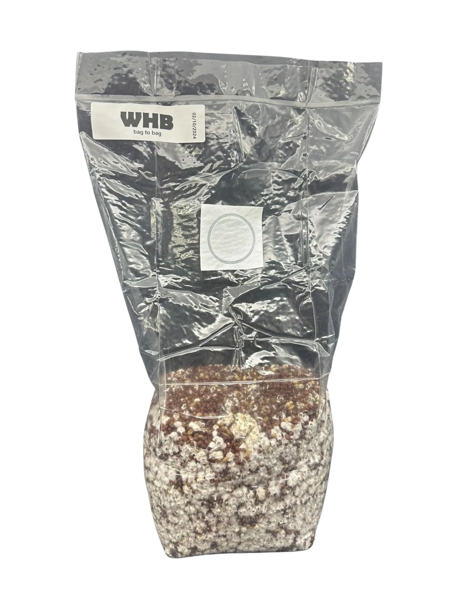 Colonized Spawn Bags