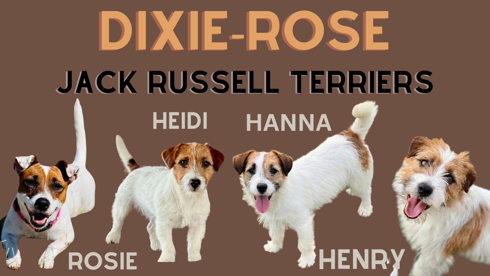 Dixie-Rose JRT - online