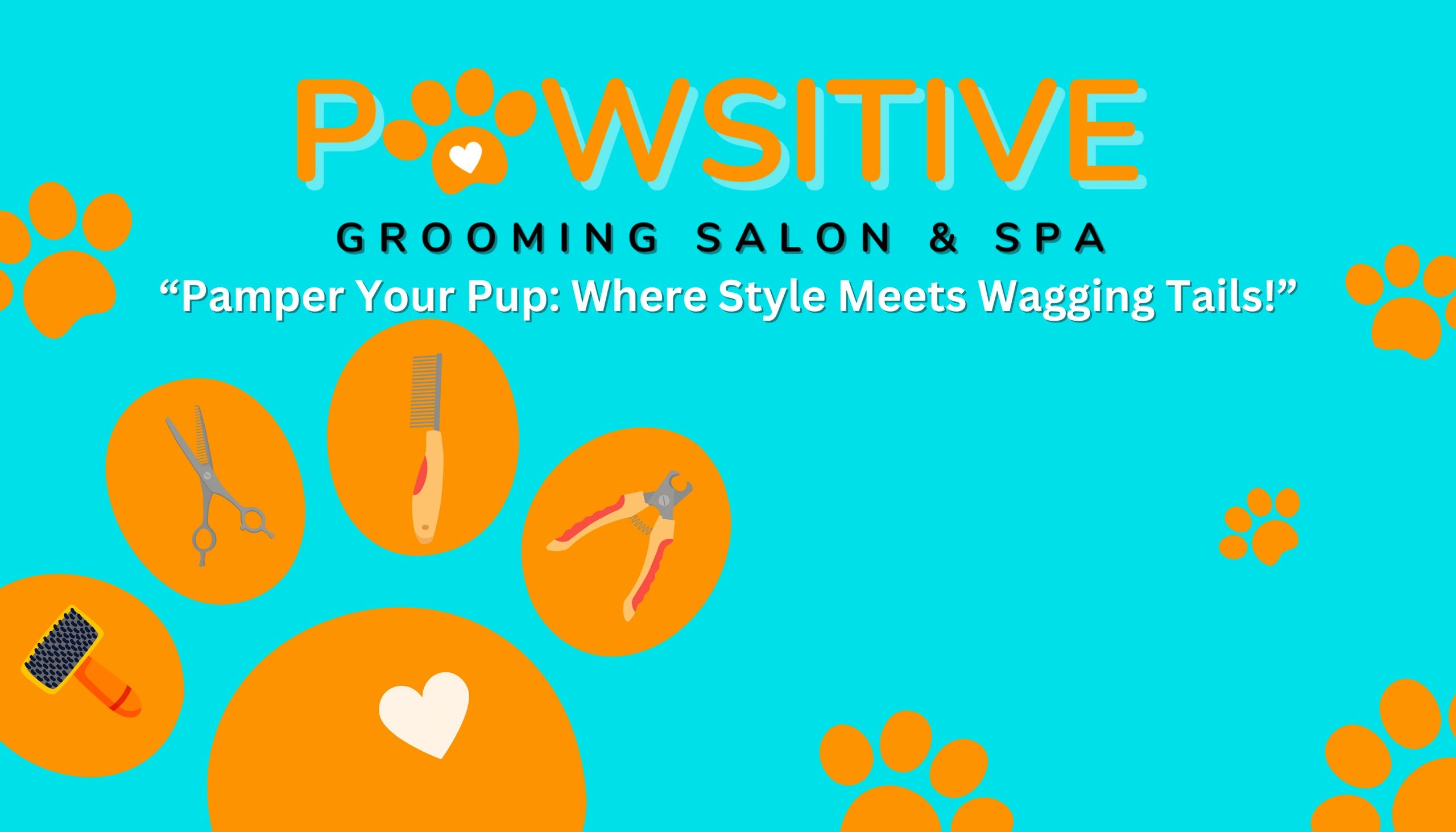 Pawsitive Grooming Salon & Spa LLC