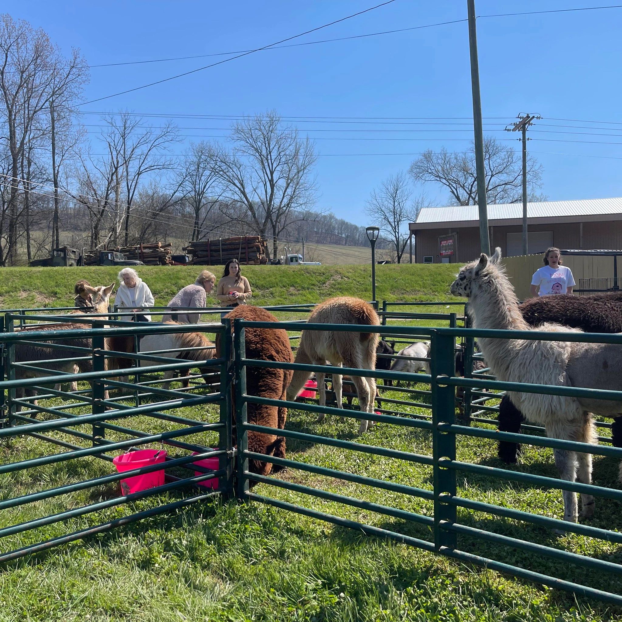 Summit Hill Farms Adventures