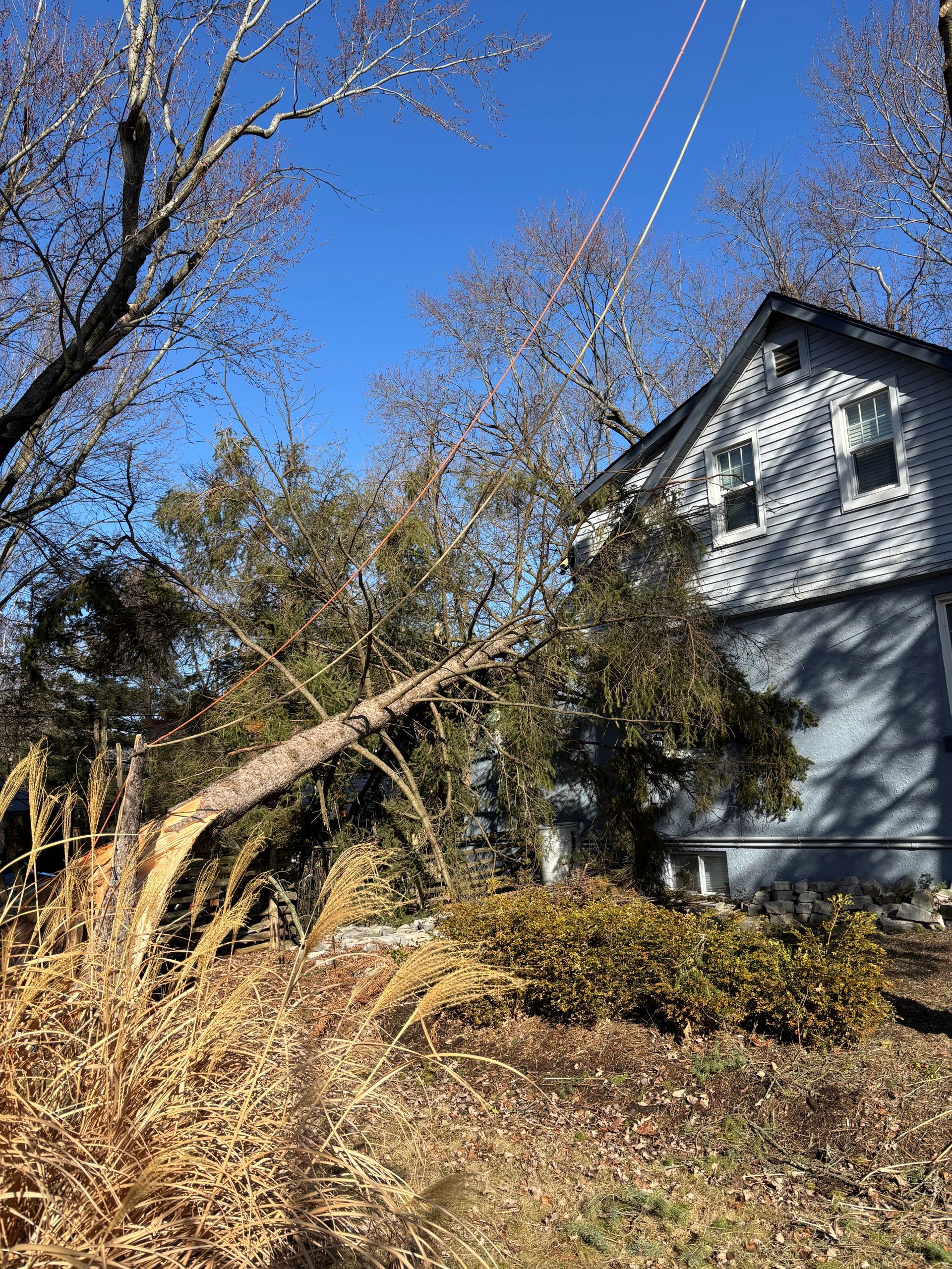 Storm Damage and the Importance of 24-Hour Emergency Tree Service