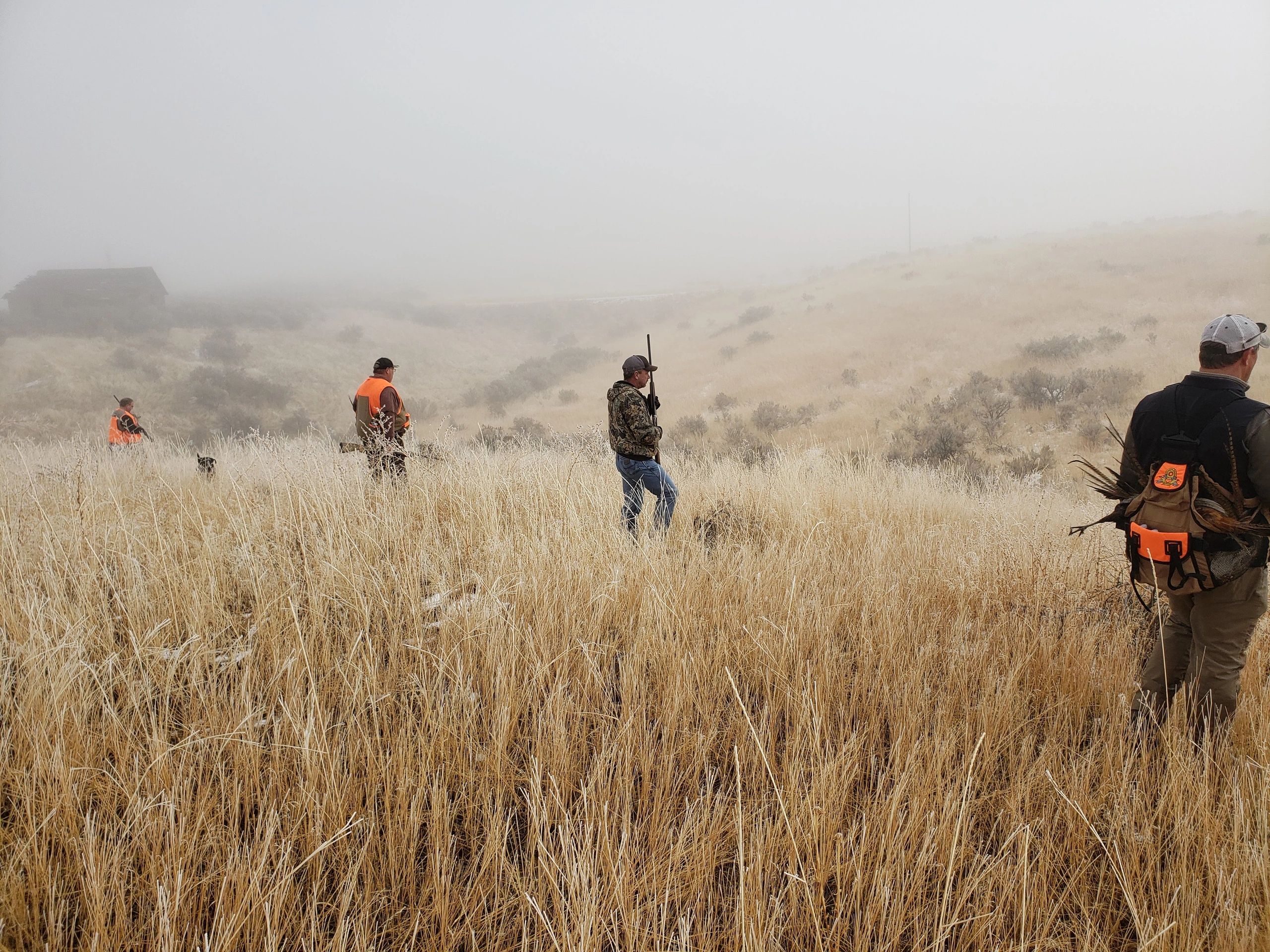 Wild West Roosters | Upland Bird Hunting | Twin Falls, Idaho