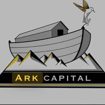 Financial Consultant Business | Ark Capital