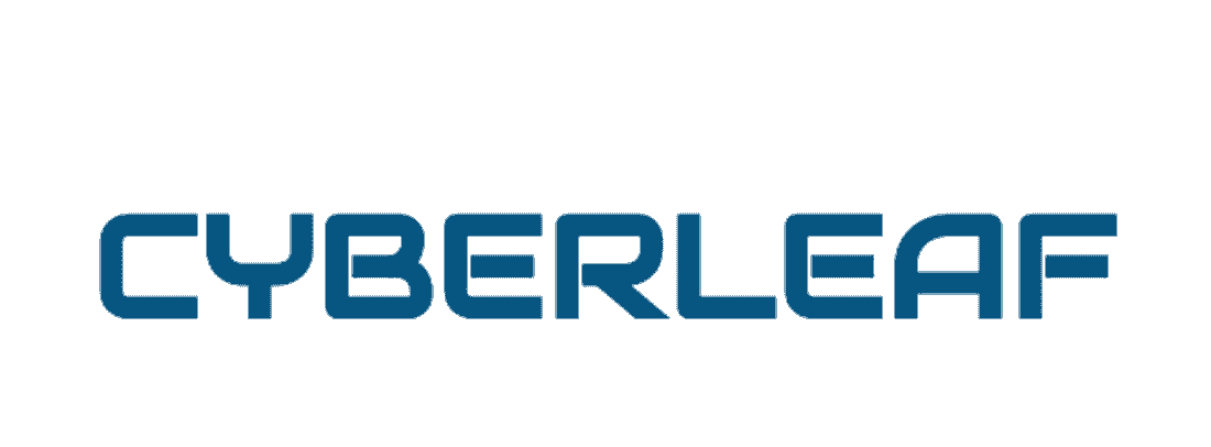 Cybersecurity | Waterleaf International LLC,