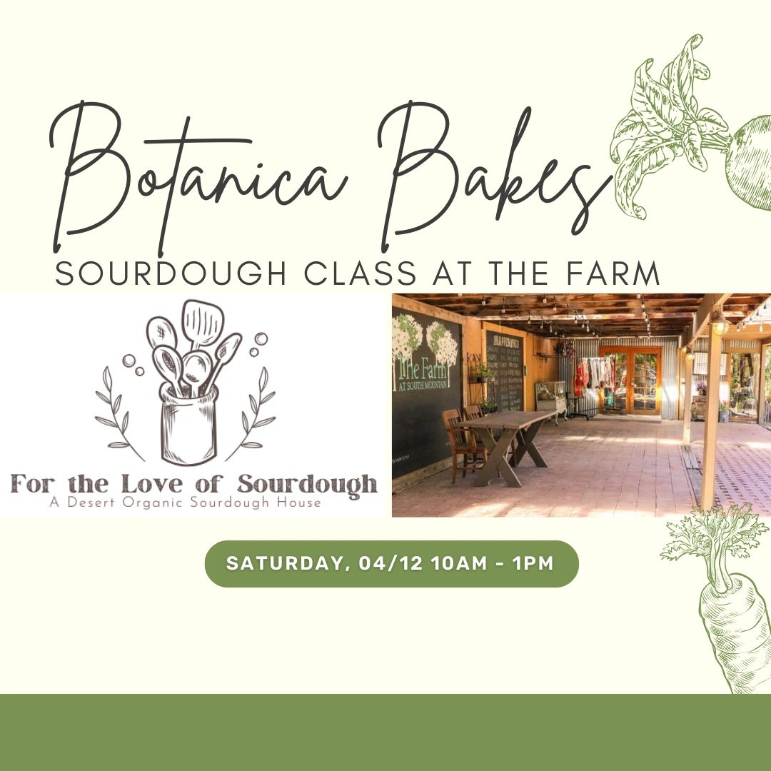 Botanica Bakes: Sourdough Class at The Farm at South Mountain (1 SEAT ...