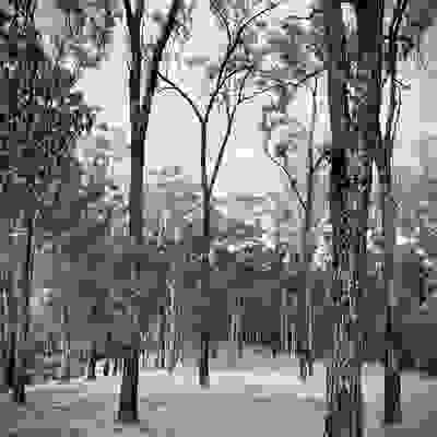 Praise Mountain Farm