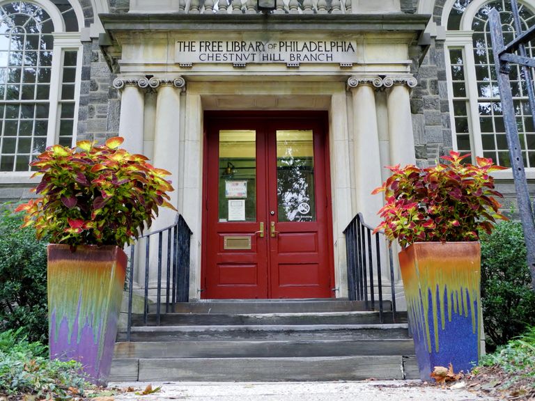 Home [chlibraryfriends.org]