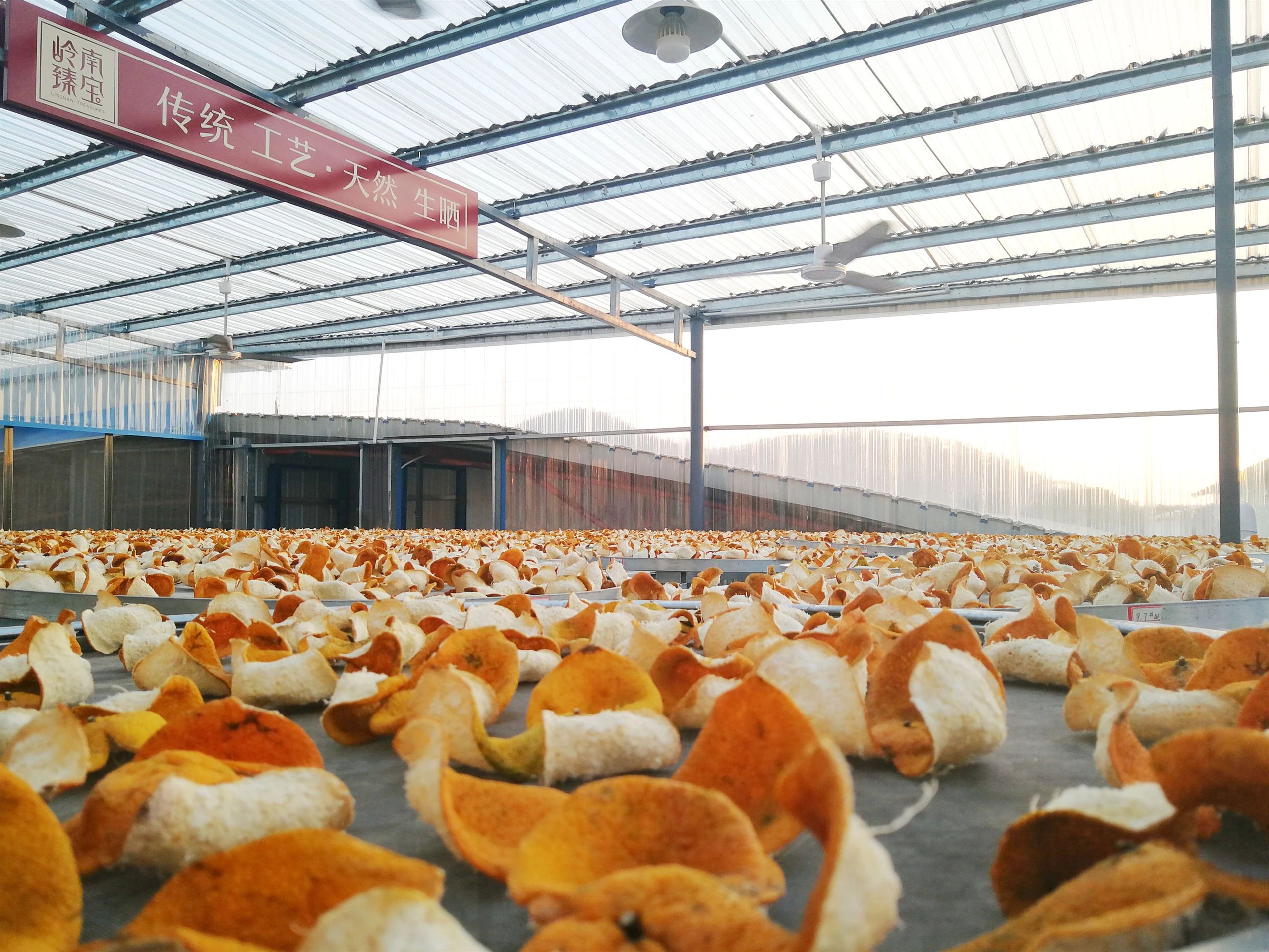 Discover Chenpi Tea: Health Benefits & Uses