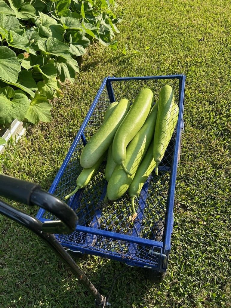 Cucuzza Farm Stand | Fresh Produce Market