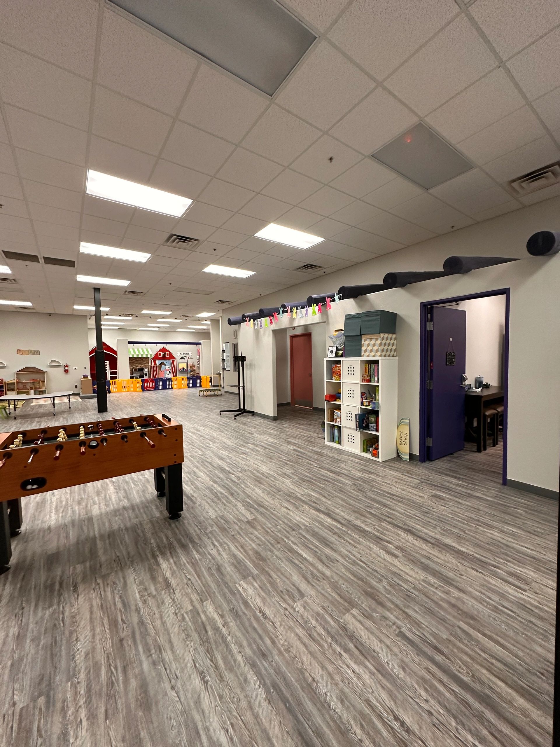 Developmeant Therapy Center