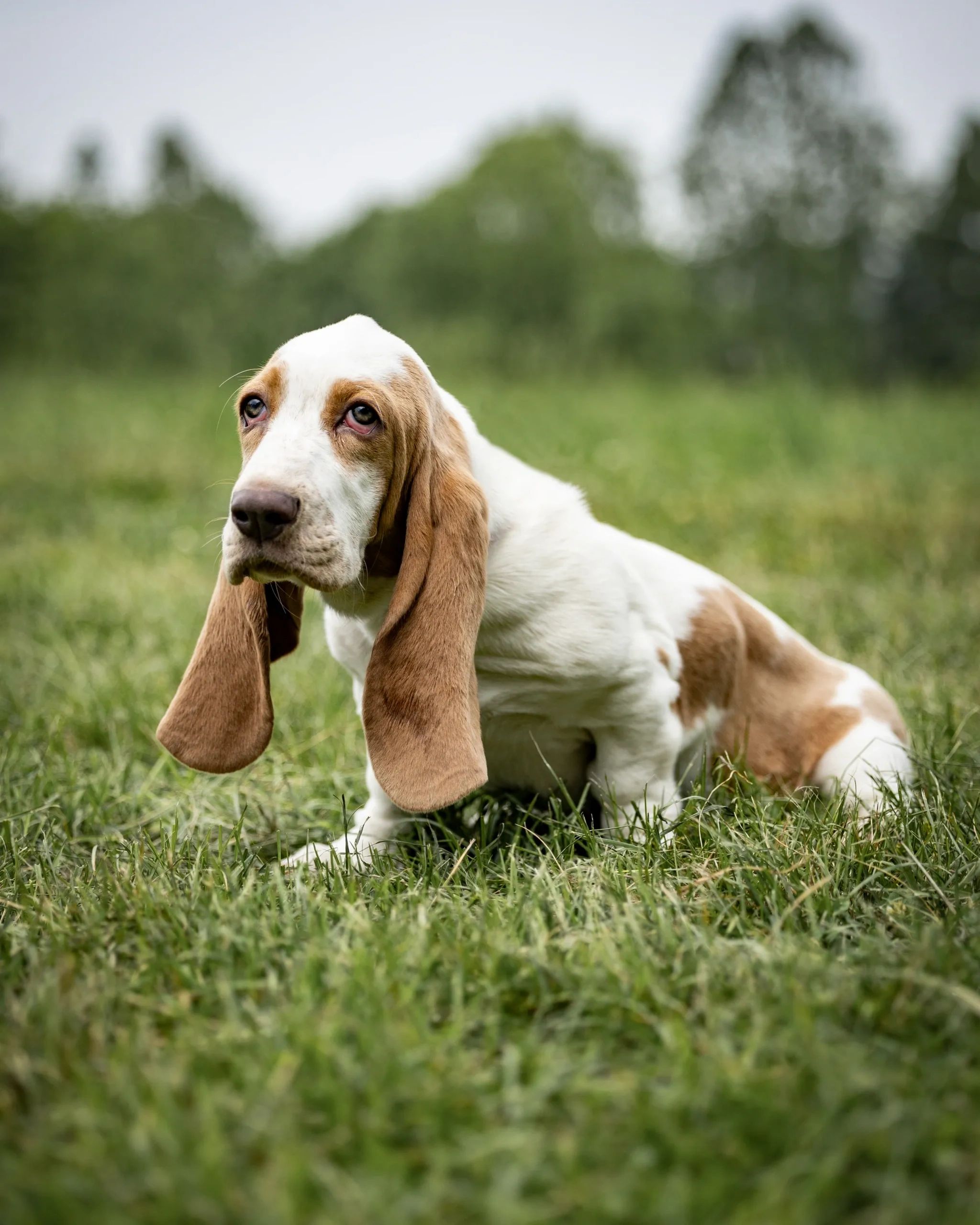 Professional Pictures | Breen Photo