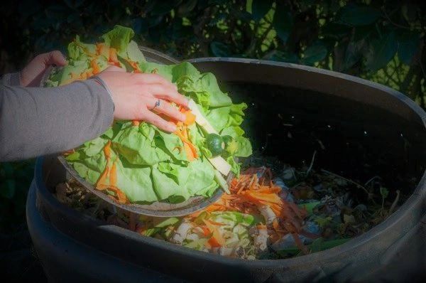 Waste Not - Composting, Compost Bin, Waste Disposal
