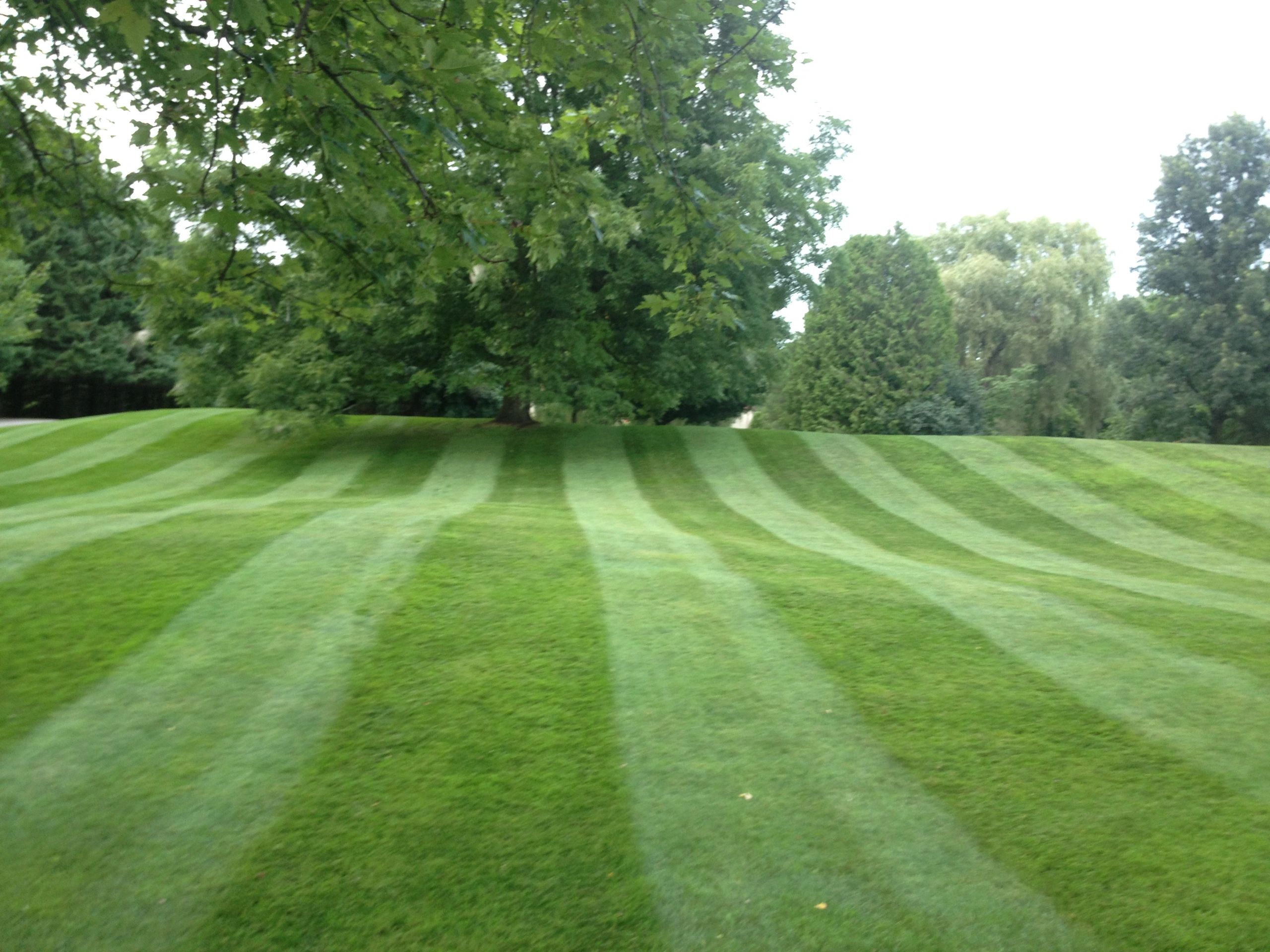 All Seasons Maintenance and Landscaping