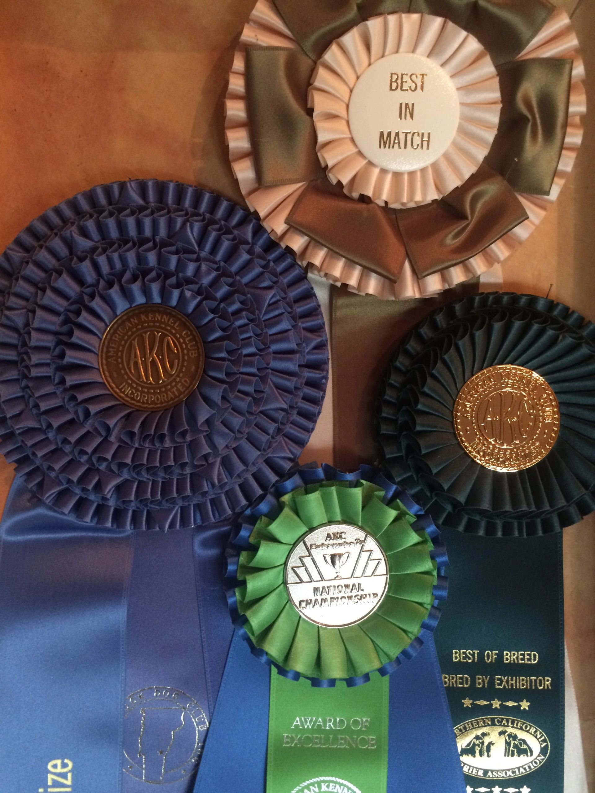 SPECIALTIES, SUPPORTED