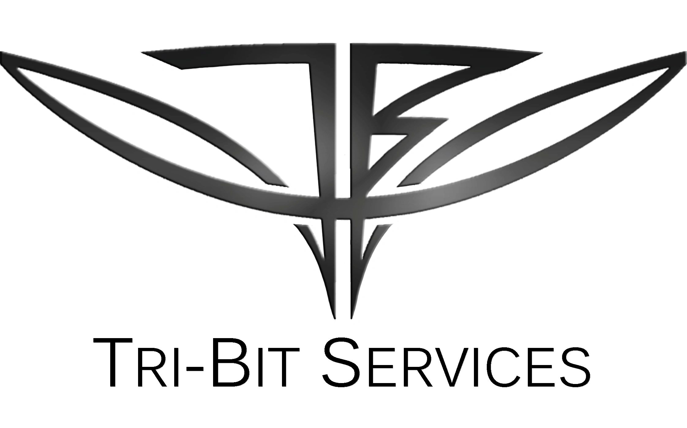Products | Tri-Bit Services