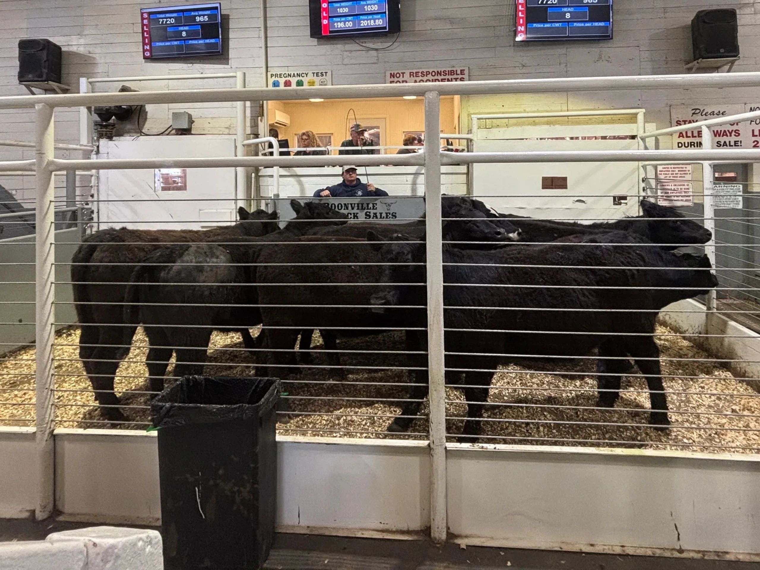 Boonville Livestock: Premier Sale Barn Auction