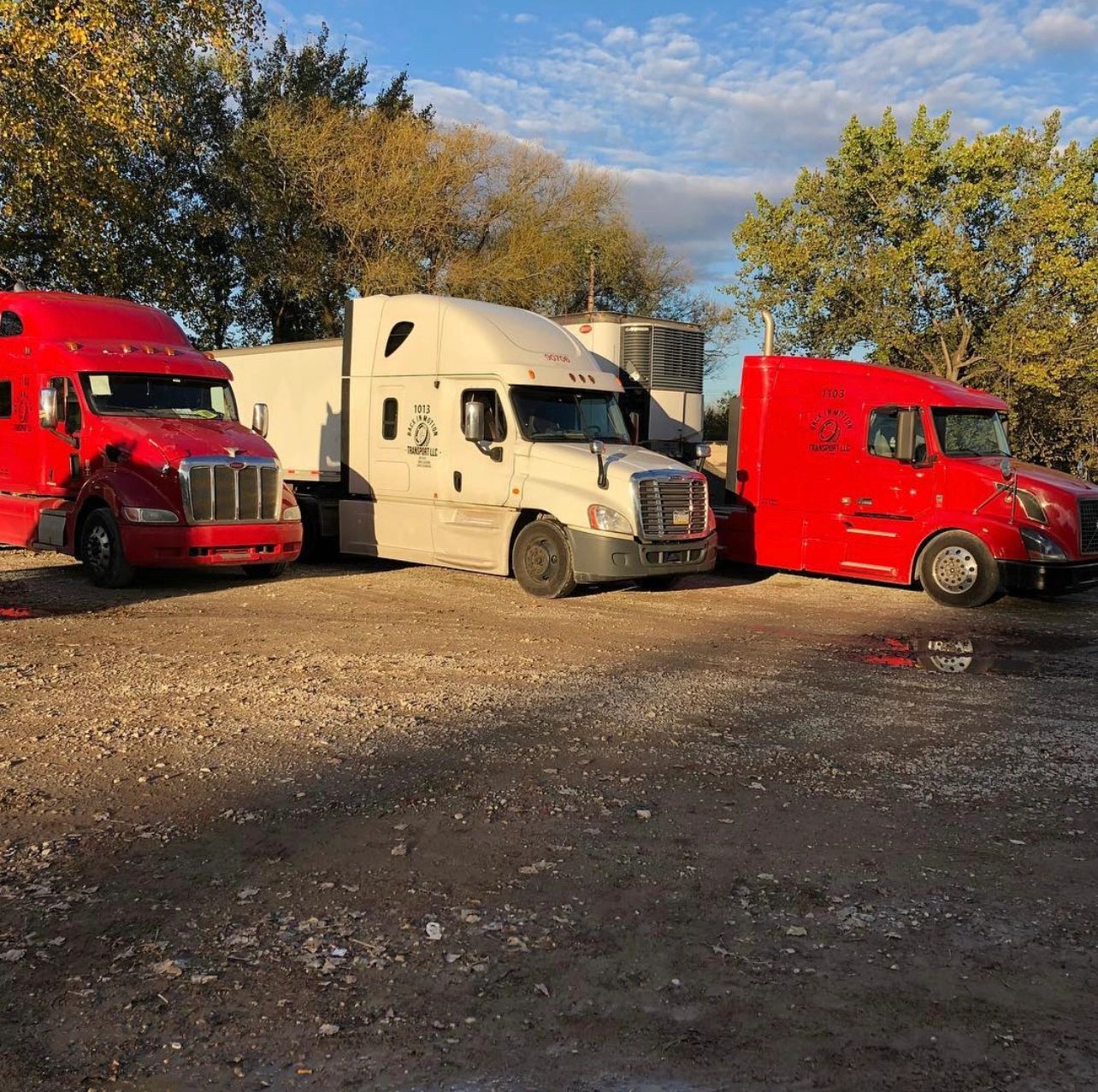 Back in Motion Transport LLC