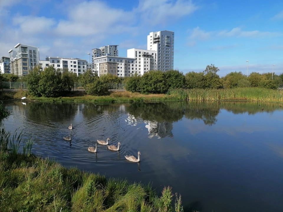 Western Harbour Ponds