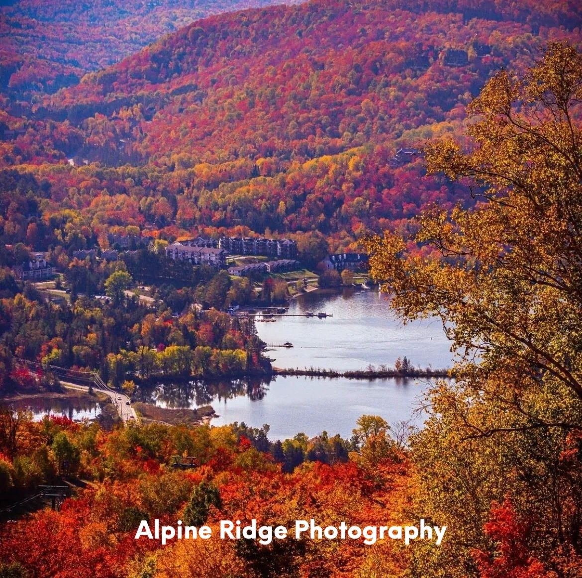 ALPINE RIDGE PHOTOGRAPHY - Home
