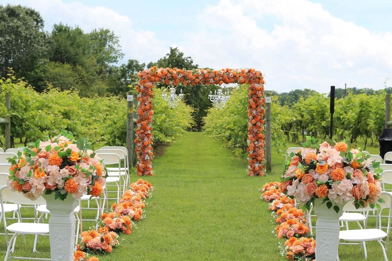 Amber View Vineyard - Event Space, Wedding Venue, Vineyard