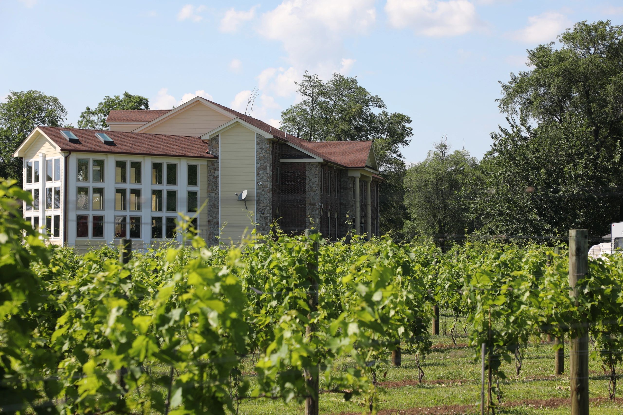 Information | Amber View Vineyard