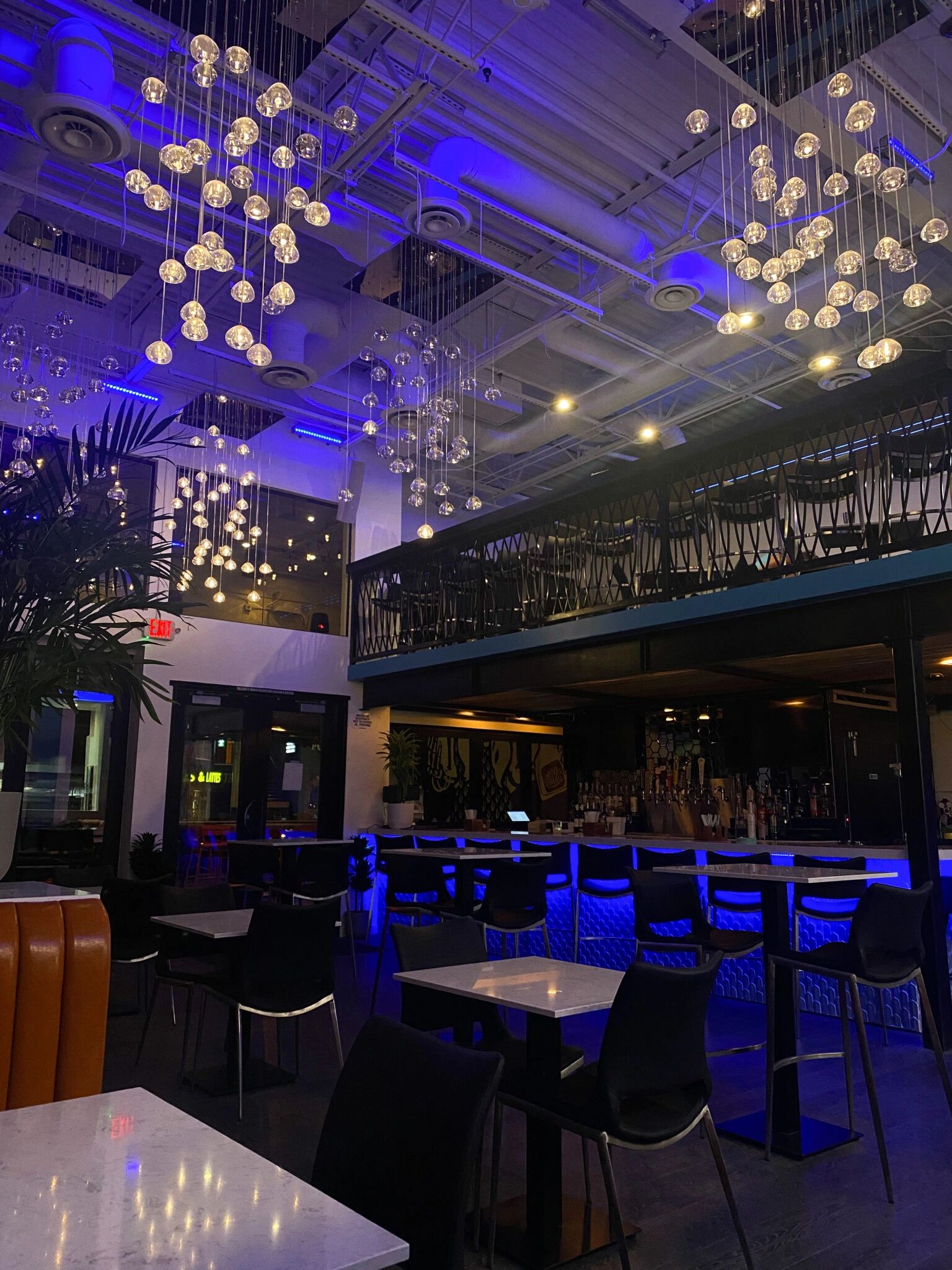 Grand Opening - Agave House