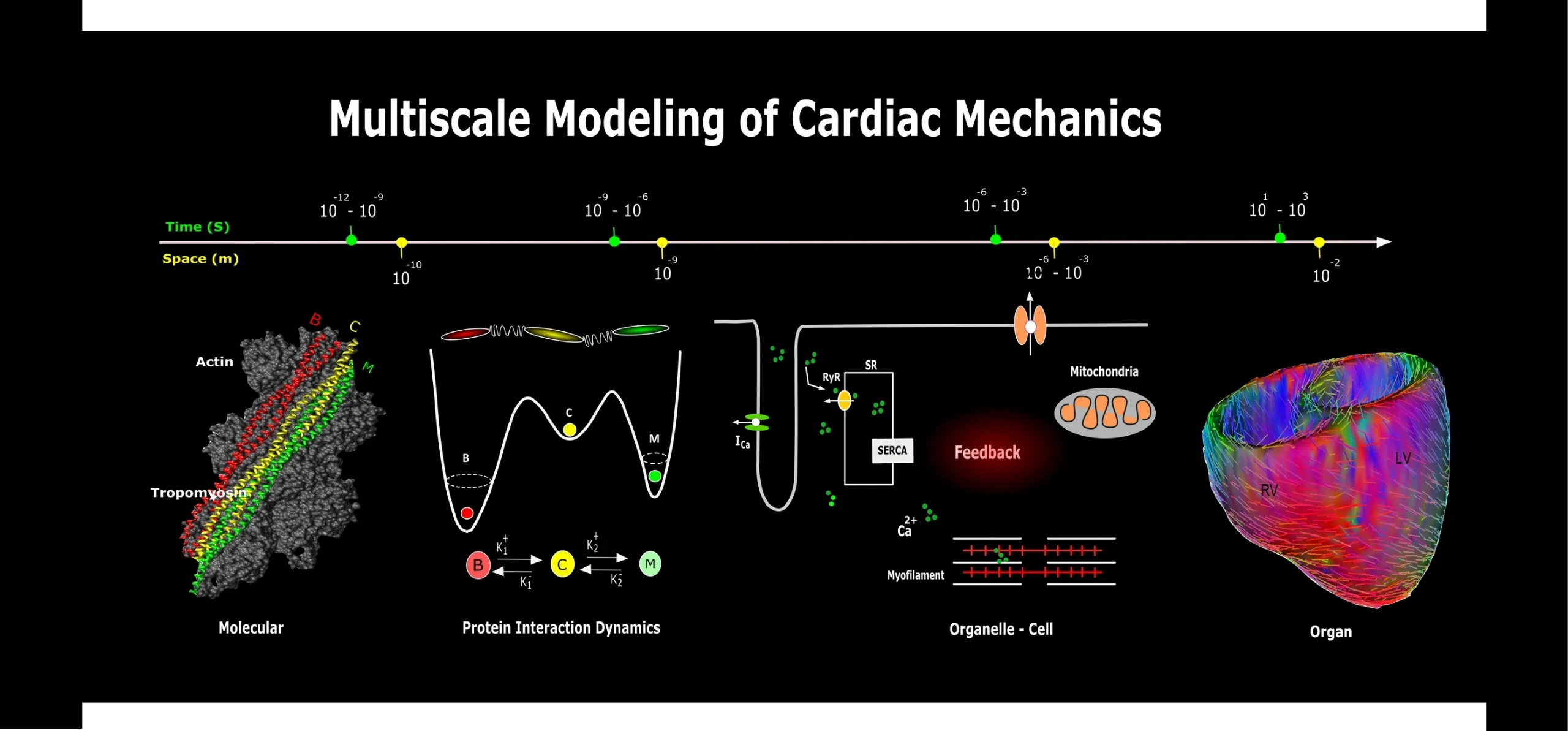 Computational Medicine & Bionics