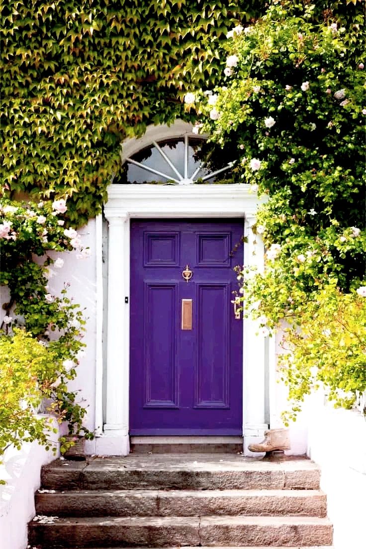 Purple Door Partners
