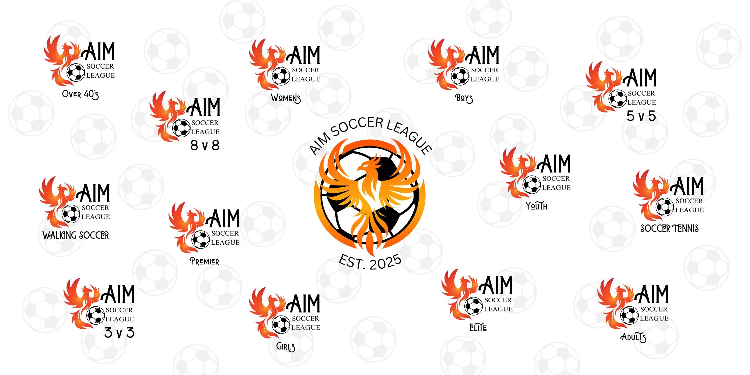 Aim Soccer League