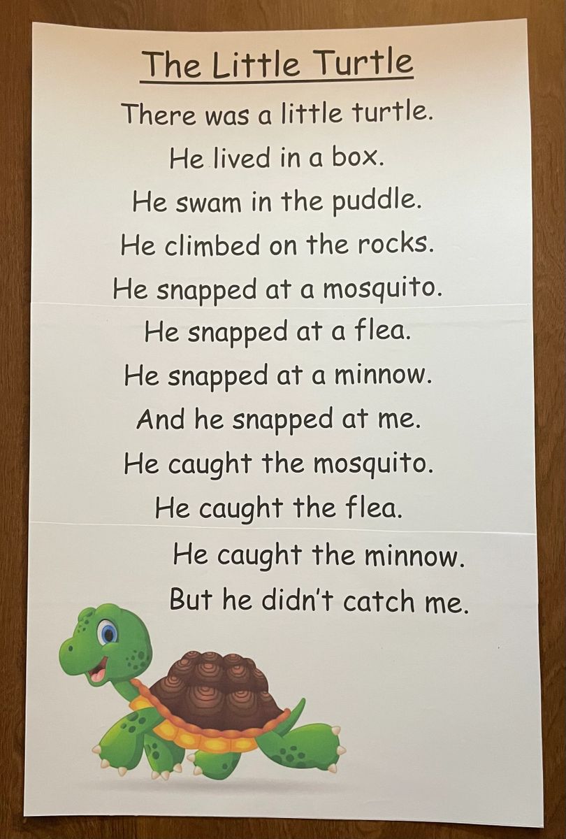 The Little Turtle poem chart
