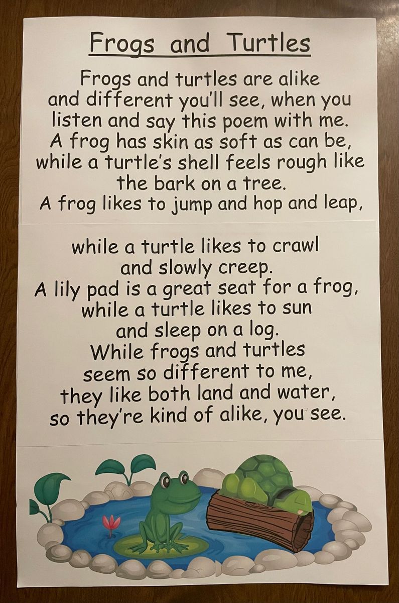 Frogs and Turtles poem chart