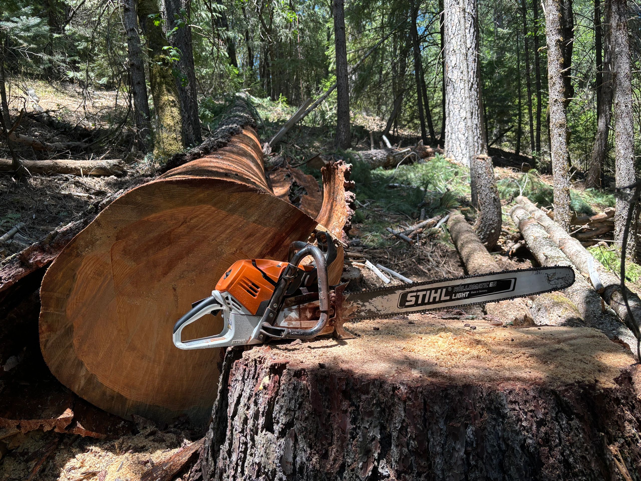 Fosters Forestry