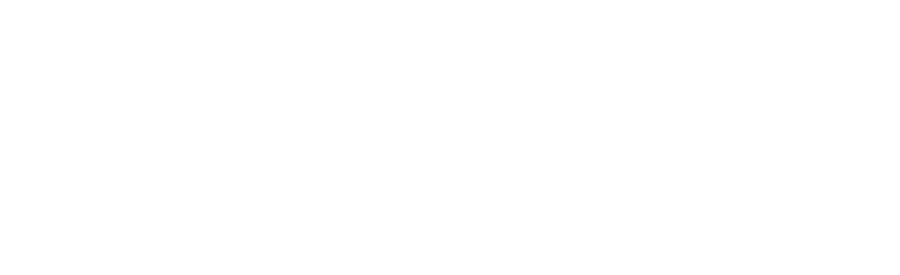 DuraStat - Device for Dural Repair