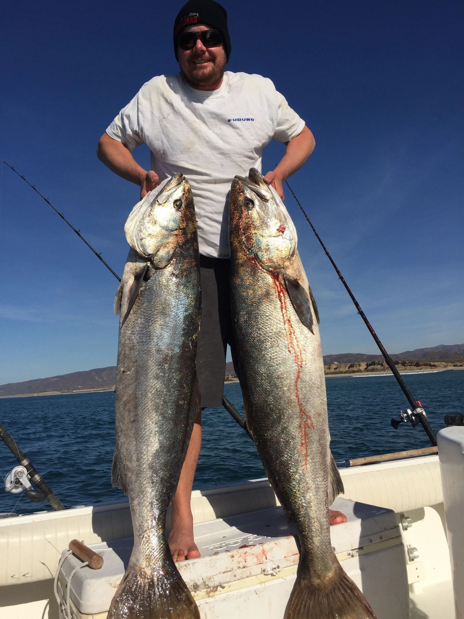 Bight Sportfishing