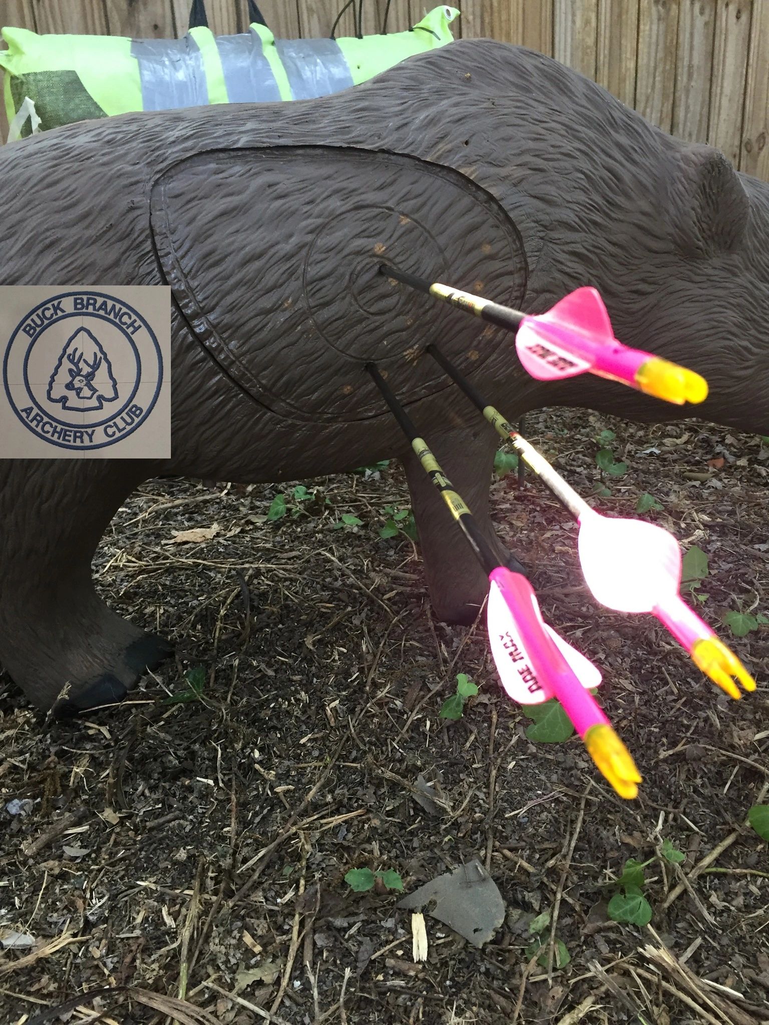 Buck Branch Archery Club